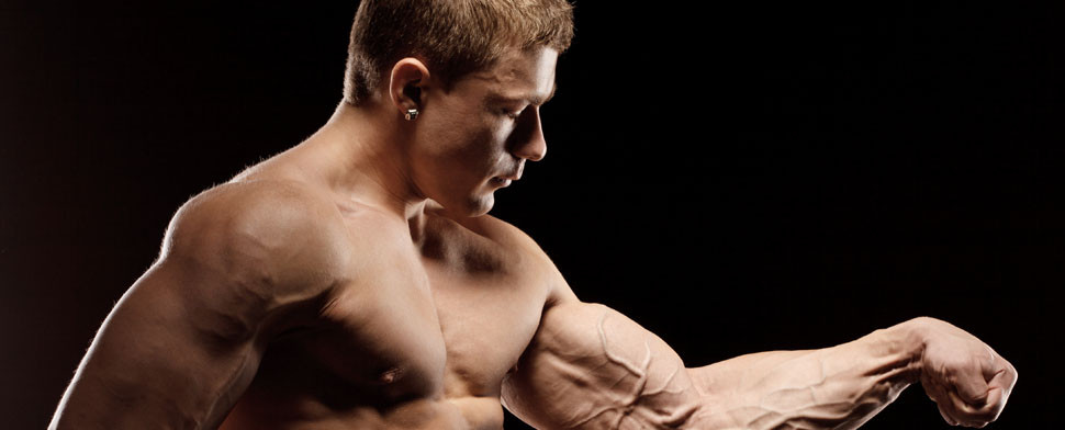 Ian Kelley | Playa del Carmen's Personal Trainer +52-984-142-1638